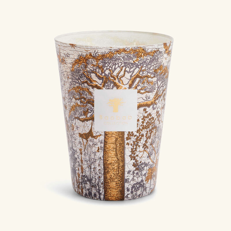 Baobab Collection Sacred Trees Dualla Candle Max 24 | Tanagra UAE