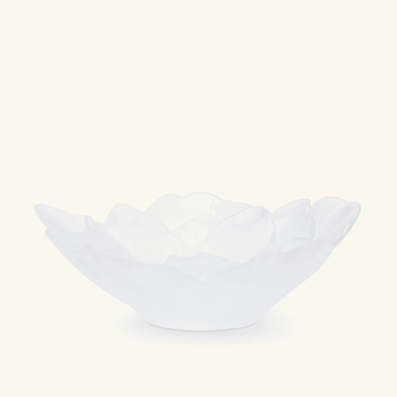 Daum Camellia Bowl | Tanagra UAE